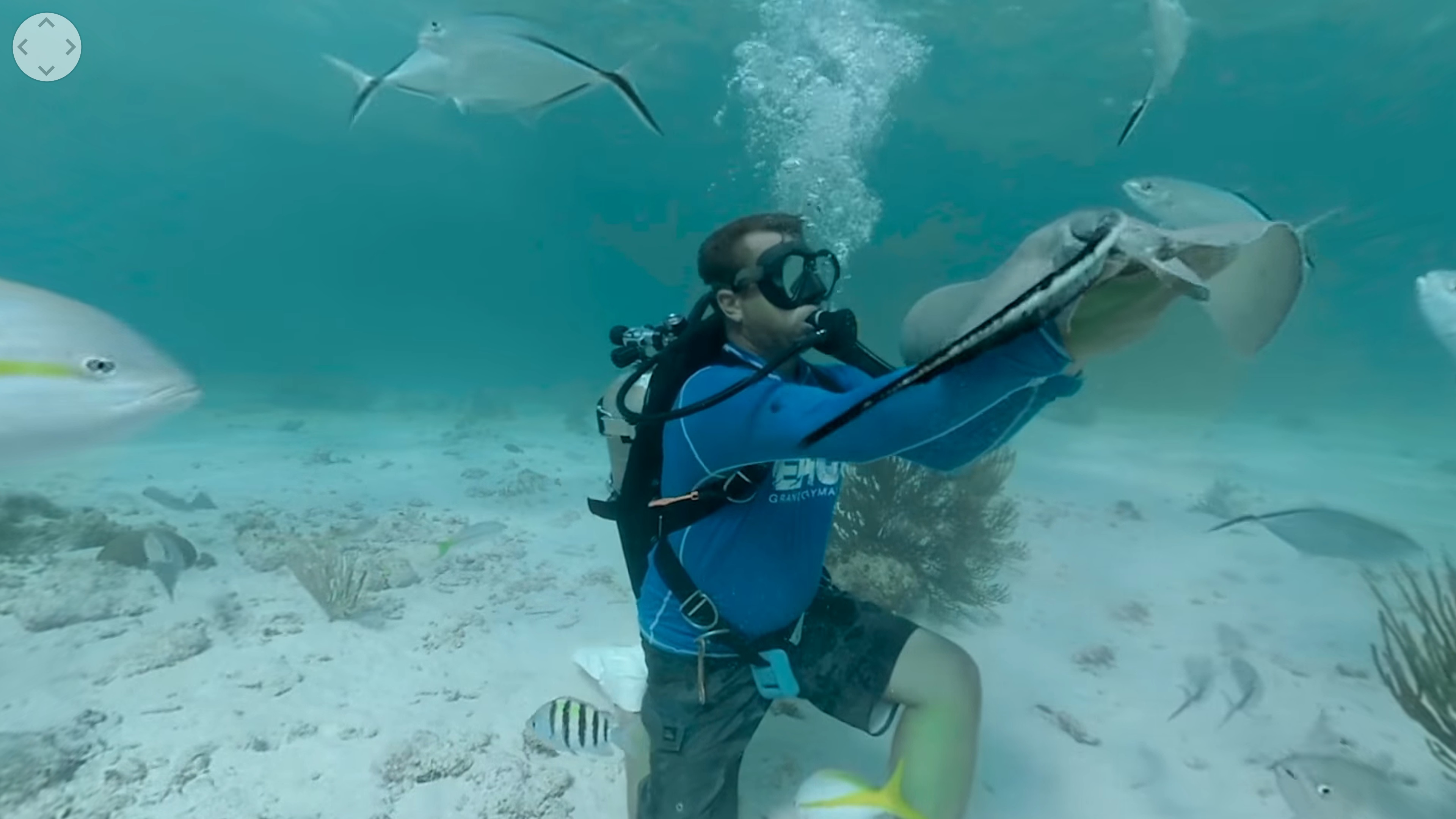 Virtually Cayman - Virtual Reality Marketing