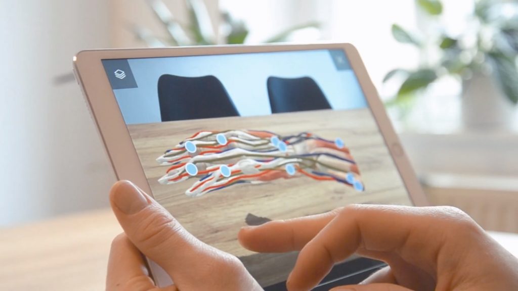 Hand Anatomy - Virtual Reality Marketing