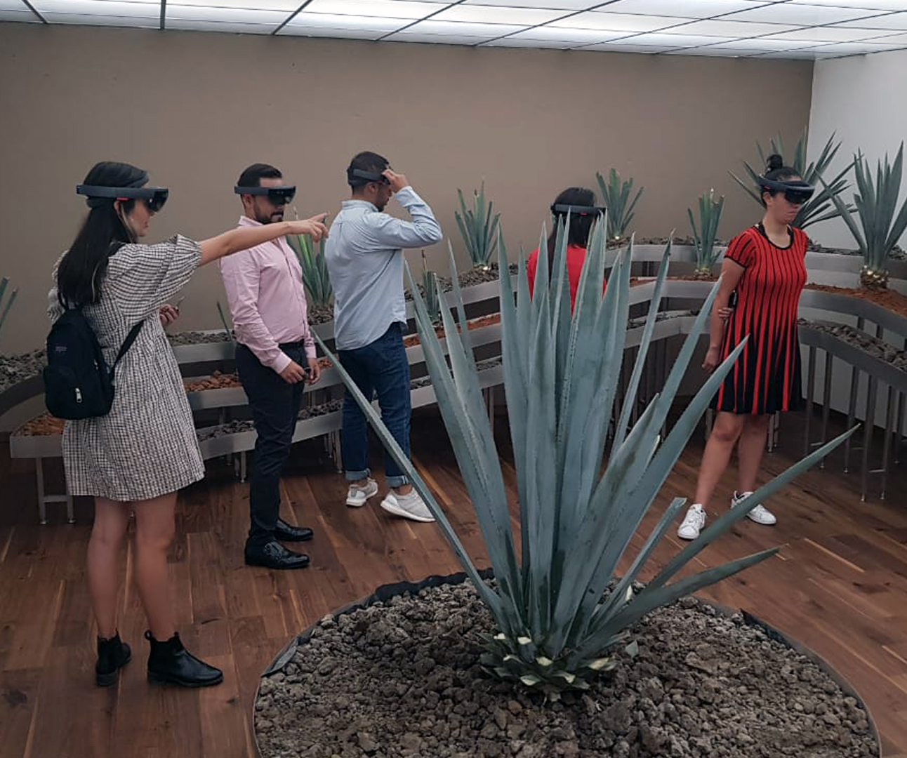 Tequila Museum's Immersive Experience - Virtual Reality Marketing